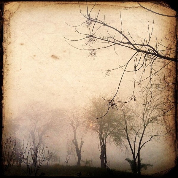 TERI Golf Course - Golf Course