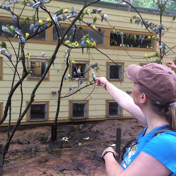 Parakeet Aviary - Zoo Exhibit in Grant Park