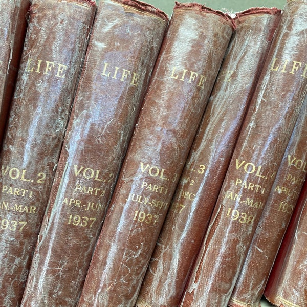 John F. Germany Public Library - 900 N Ashley Dr