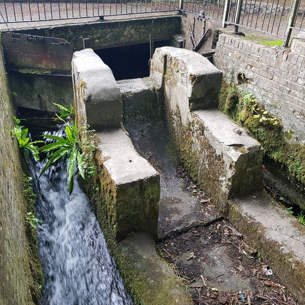 Kearsney Abbey - 1 tip from 130 visitors