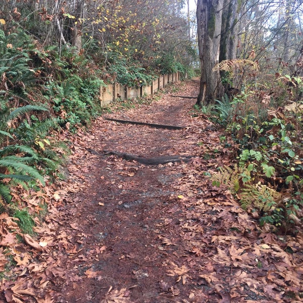 PSE Powerline Trail - Hiking Trail in Education Hill
