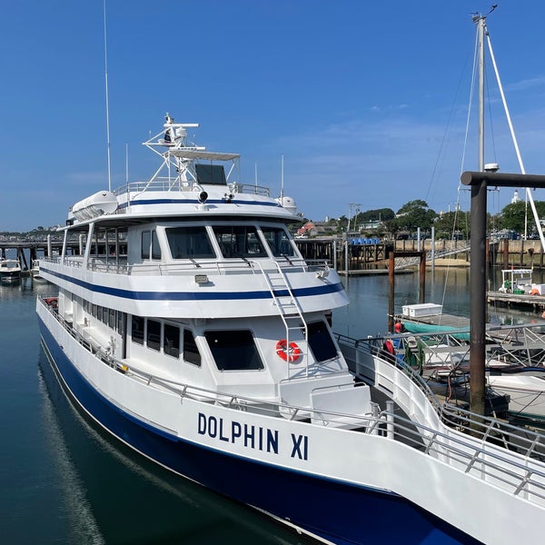 Dolphin Fleet Whale Watch - 21 tips from 1479 visitors