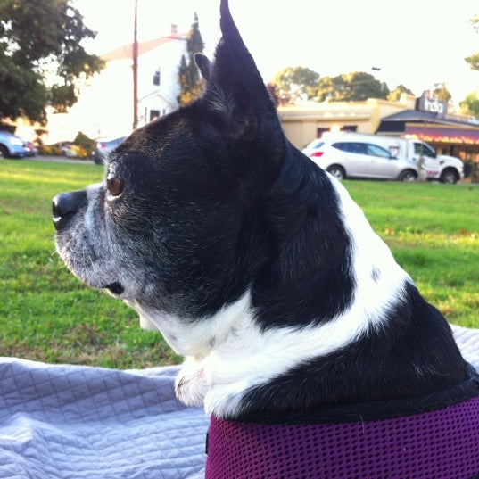 Photos at Lippitt Park - Playground in Providence