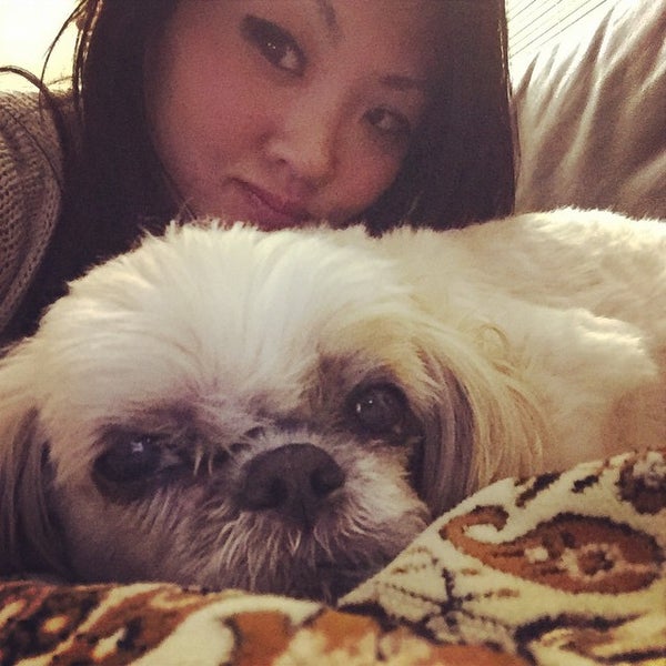 Seven Springs Pool - Cupertino, CA