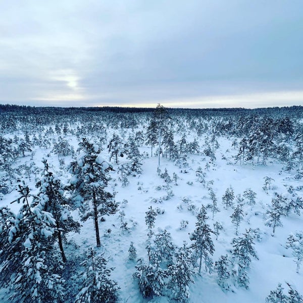Viru raba - Nature Preserve in Kolga