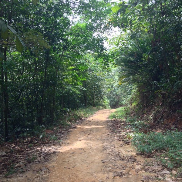 Bukit Serdang Hike - Other Great Outdoors in Seri Kembangan