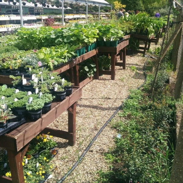 Capital Gardens Garden Centre - Wandsworth, Greater London