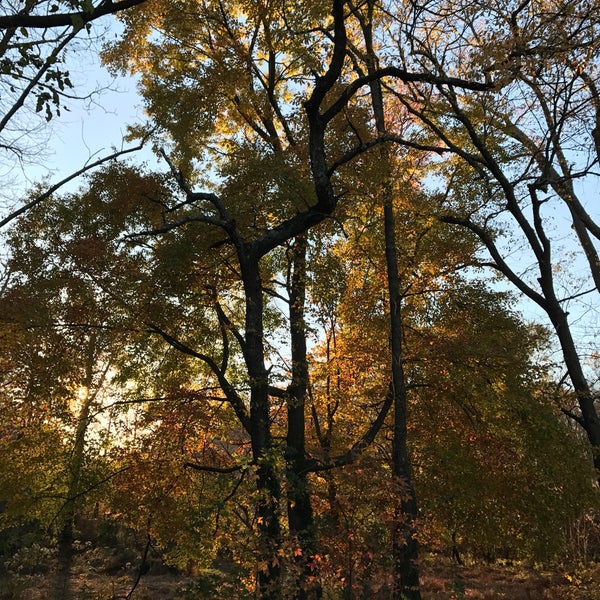 Pennypacker Park - Park in Haddonfield