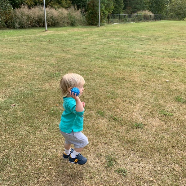 Davis Drive Park - Park in Cary