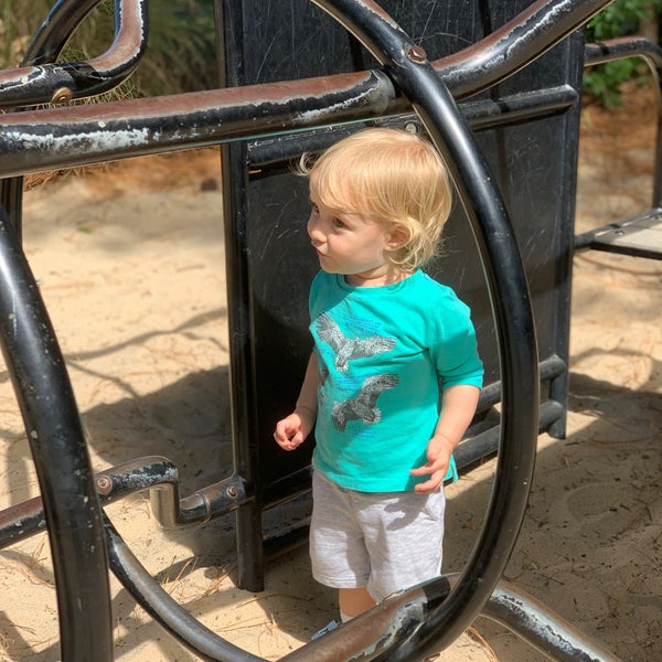 Photos at Davis Drive Park - Park in Cary