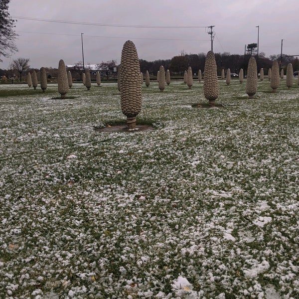 Field of Corn (with Osage Orange Trees) by Malcolm Cochran - 12 tips ...