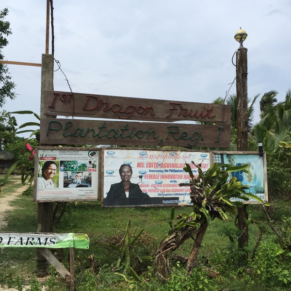 Dragon Fruit Farm Burgos