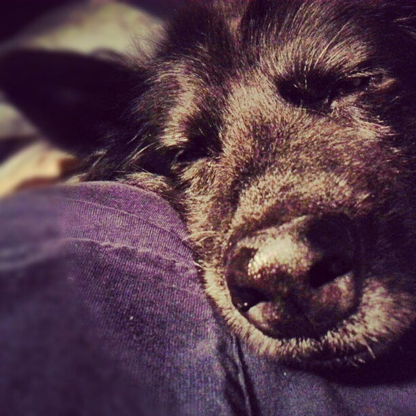 Contract Freighters Inc - Taylor, MI - Taylor, MI