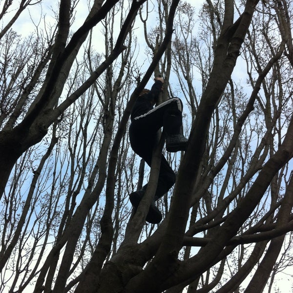 Photos at Vermont Square Park - Seaton Village - Toronto, ON