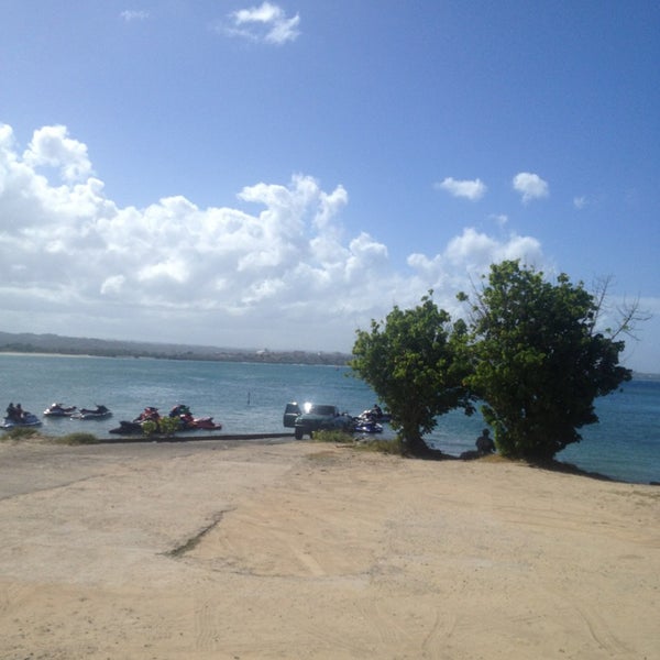 Lighthouse Bay Restaurant - Seafood Restaurant