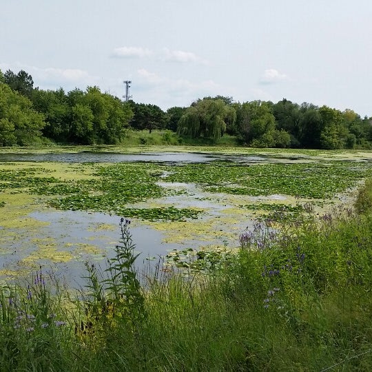 Waubonsie Lake Park - 4 tips from 191 visitors