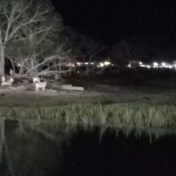 Goat Island - Murrells Inlet, SC