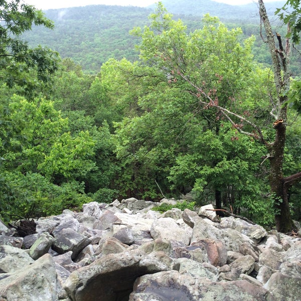 Pinnacle Mountain East Summit Trail - 5 tips from 153 visitors