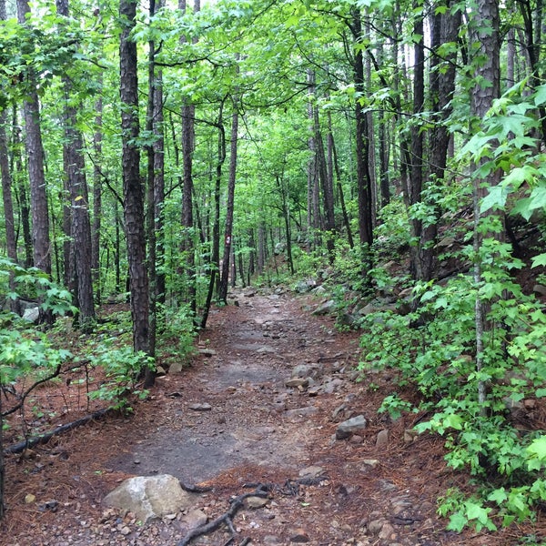 Pinnacle Mountain East Summit Trail - 5 tips from 153 visitors