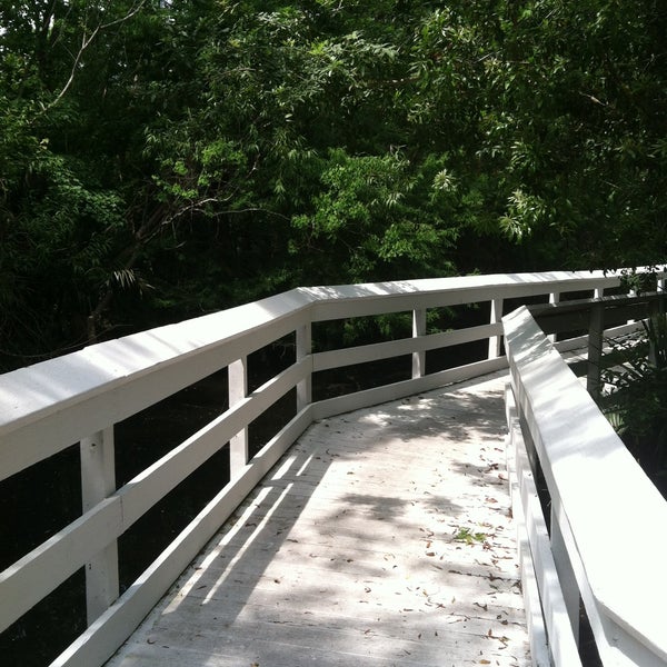 Photos at Demetree Park - Orlando, FL