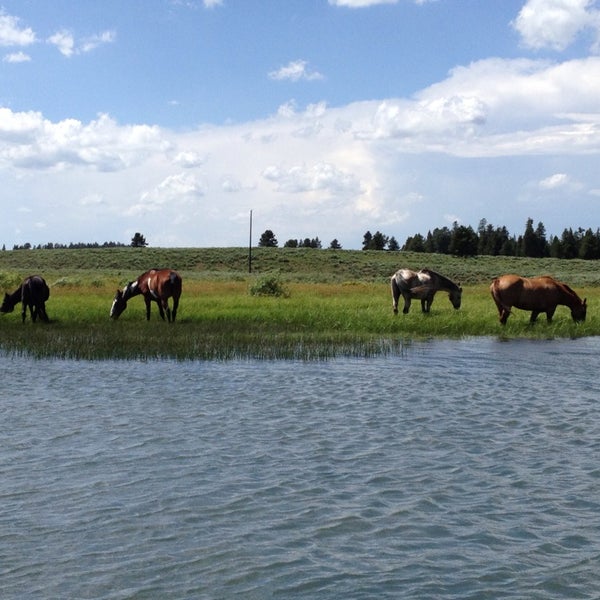 Eagle Ridge Ranch - Island Park, ID