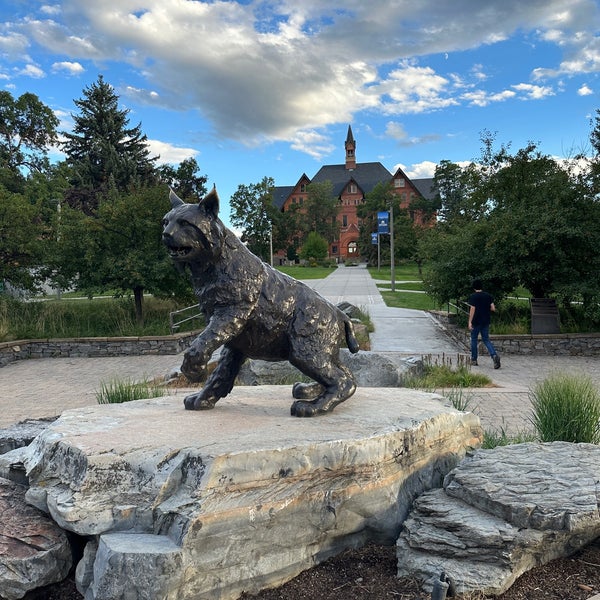 Montana State University - University in Bozeman