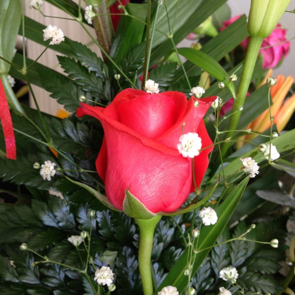 Elsa's Flowers & Art