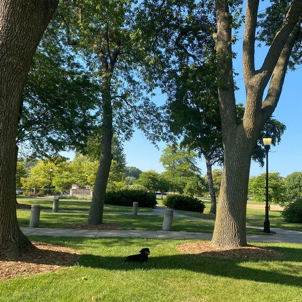 Frame Park - 14 tips