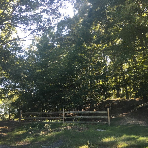 City of Parma - 12 tips from 1376 visitors