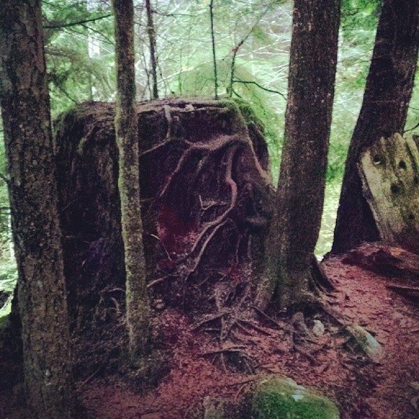 Photos at Exit 38 - Deception Crags Climbing Area - North Bend, WA