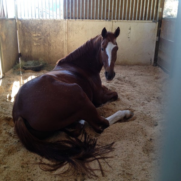 Garrod Farms - 1 tip from 286 visitors