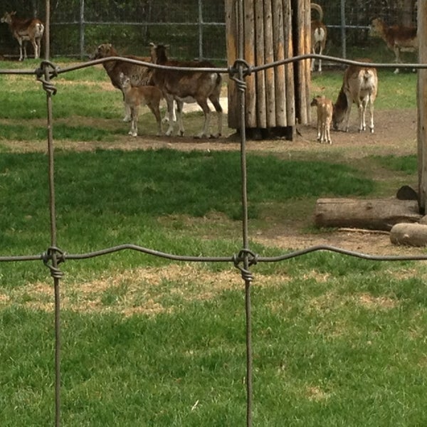 Saskatoon Forestry Farm Park & Zoo - University Heights - 1903 Forestry ...