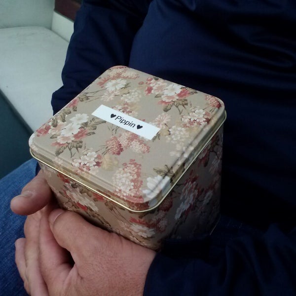 Rose Lake - Lake in Coldwater