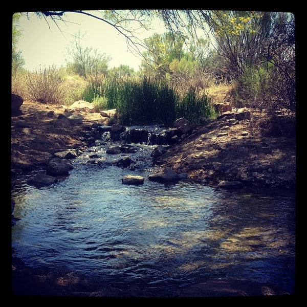 Photos at Gilbert Riparian Preserve at Water Ranch - Gilbert, AZ