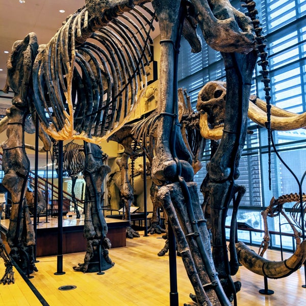 Photos at Beneski Museum of Natural History - 11 Barrett Hill Rd