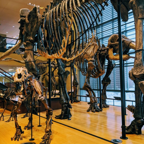 Photos at Beneski Museum of Natural History - 11 Barrett Hill Rd