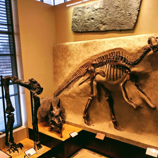 Photos at Beneski Museum of Natural History - 11 Barrett Hill Rd