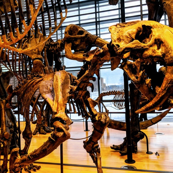 Photos at Beneski Museum of Natural History - 11 Barrett Hill Rd