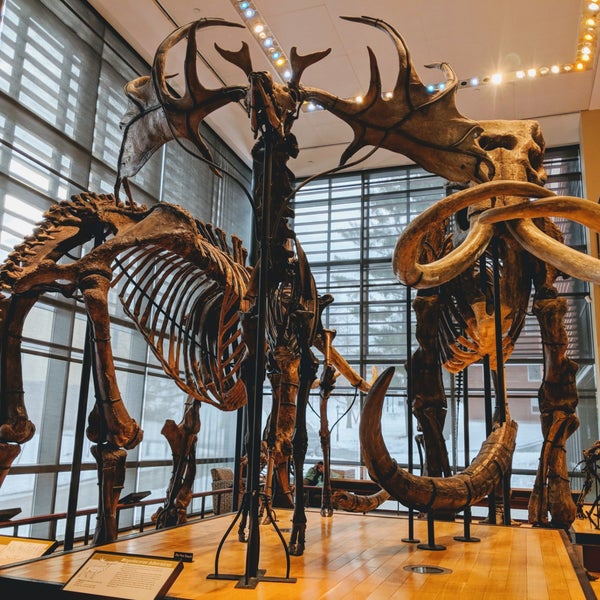 Photos at Beneski Museum of Natural History - 11 Barrett Hill Rd