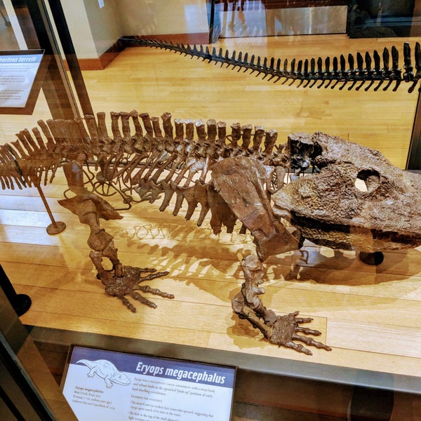 Beneski Museum of Natural History - 11 Barrett Hill Rd
