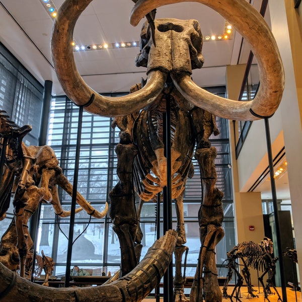 Photos at Beneski Museum of Natural History - 11 Barrett Hill Rd