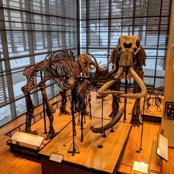 Photos at Beneski Museum of Natural History - 11 Barrett Hill Rd