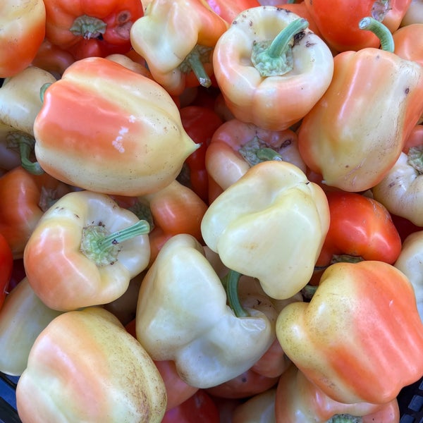 Downtown Silver Spring FRESHFARM Market - 6 tips from 567 visitors