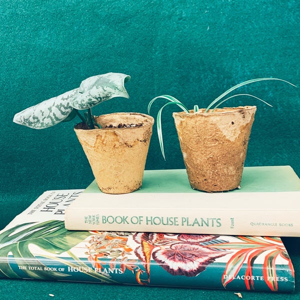 DC Public Library - Petworth - Petworth - Washington, D.C.