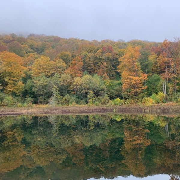 Balsam Lake State Wild Forest - Other Great Outdoors
