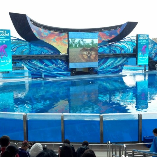 Shamu Stadium - Sea World Theme Park - SeaWorld