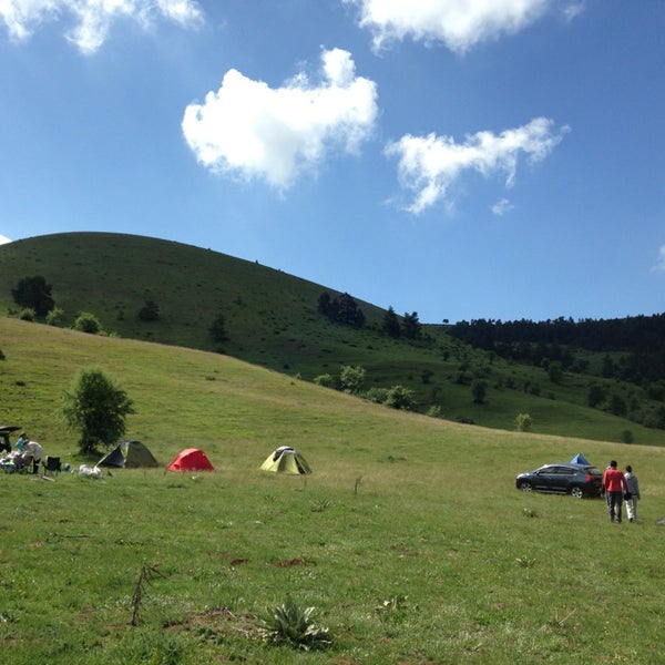 Abant Cepni Camp Area - Kamp Alanı