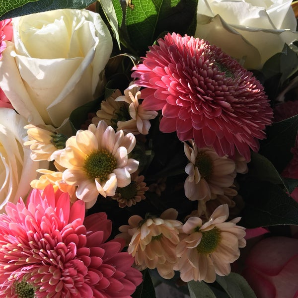 Meander Bloemen & Teksten - Flower Store in Lede