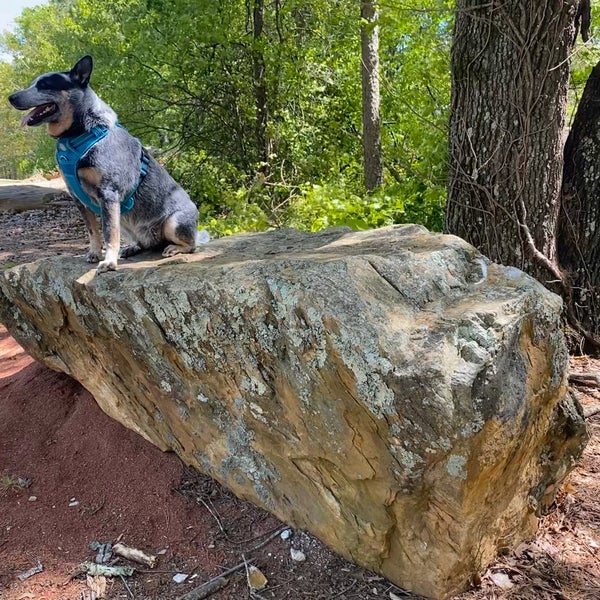 Bogan Park - Park in Buford