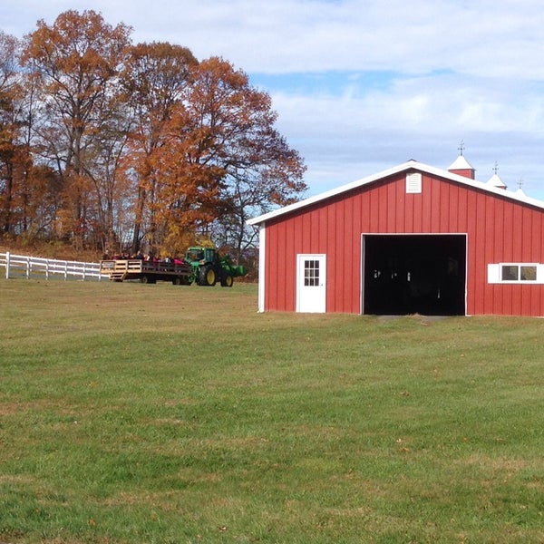 Cheshire Hollow Farm - Farm in Cheshire